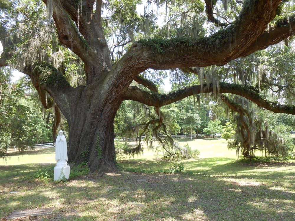 Springbank Retreat: 'Healing Self, Healing Earth' | Global Sisters Report