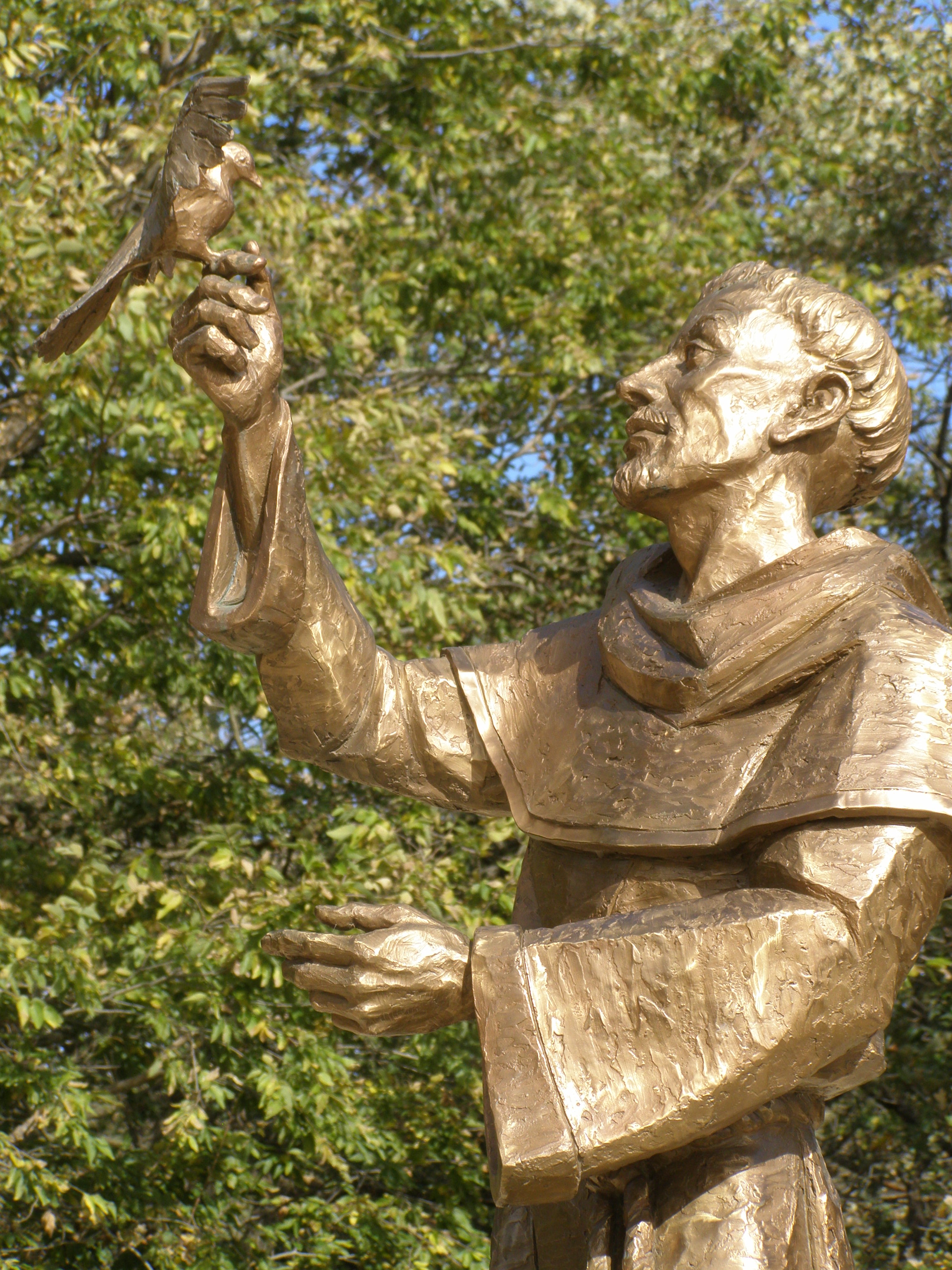 Franciscan thoughts in honor of St. Francis Day | Global Sisters Report