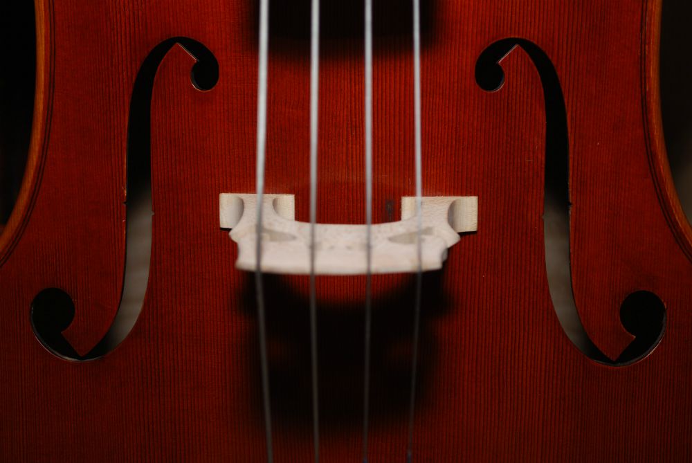 It's in a box labeled 'chello' | Global Sisters Report