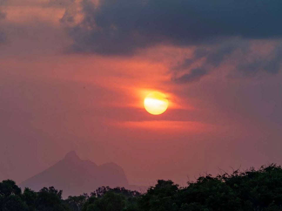 Australia: Our sun-burnt country | Global Sisters Report