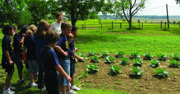 The blessings of our precious land | Global Sisters Report