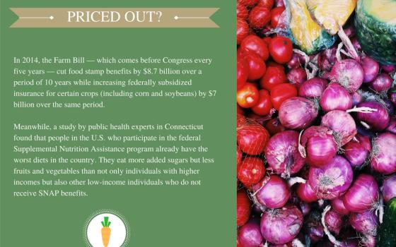 US food justice, part one: Equal access to nutrition determined by ...